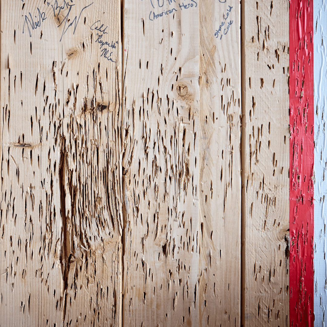 Ovative Reveals TikTok's Hidden Value | Ovative Group