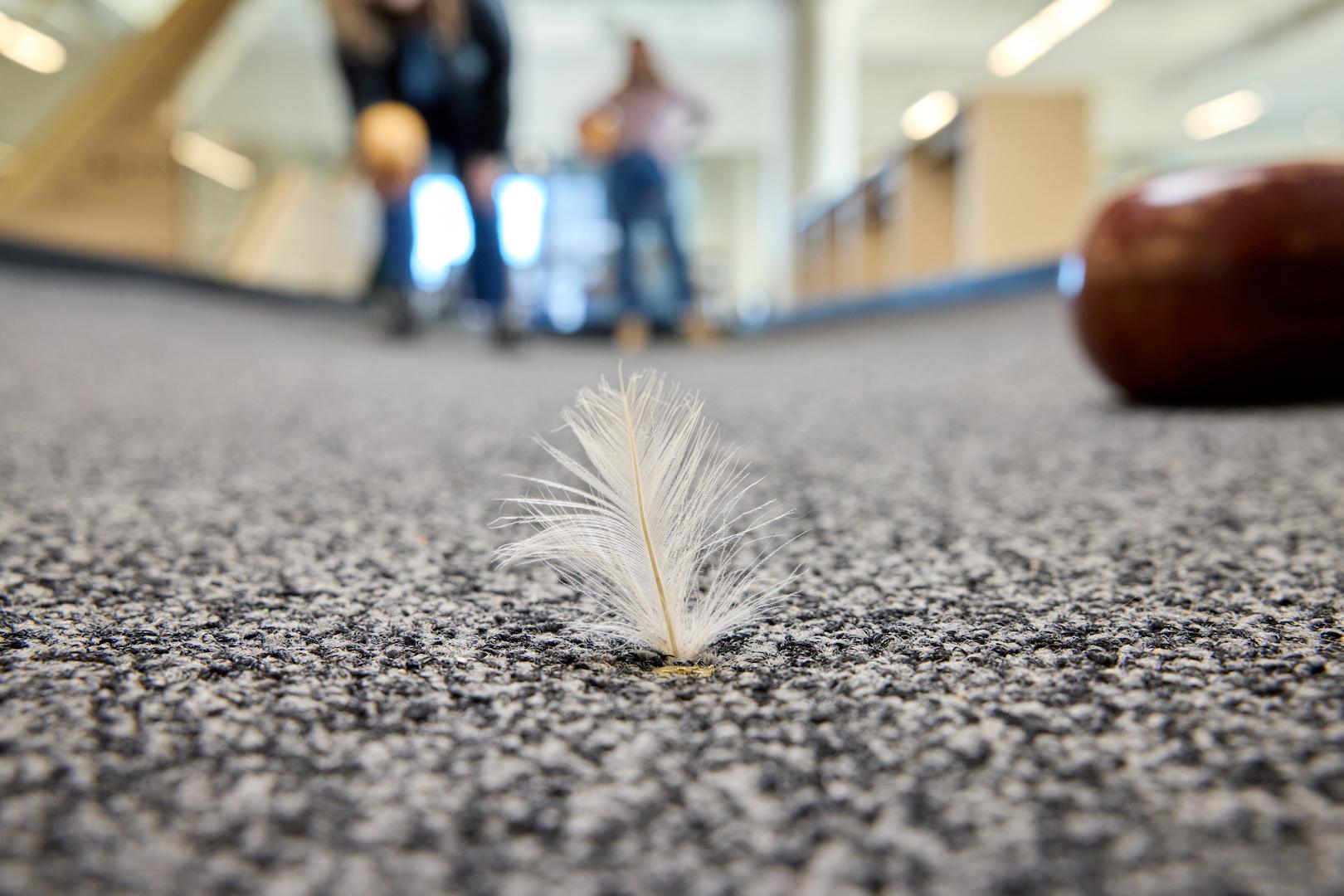 Power Your Audience Strategy with Clean Rooms | Ovative Group